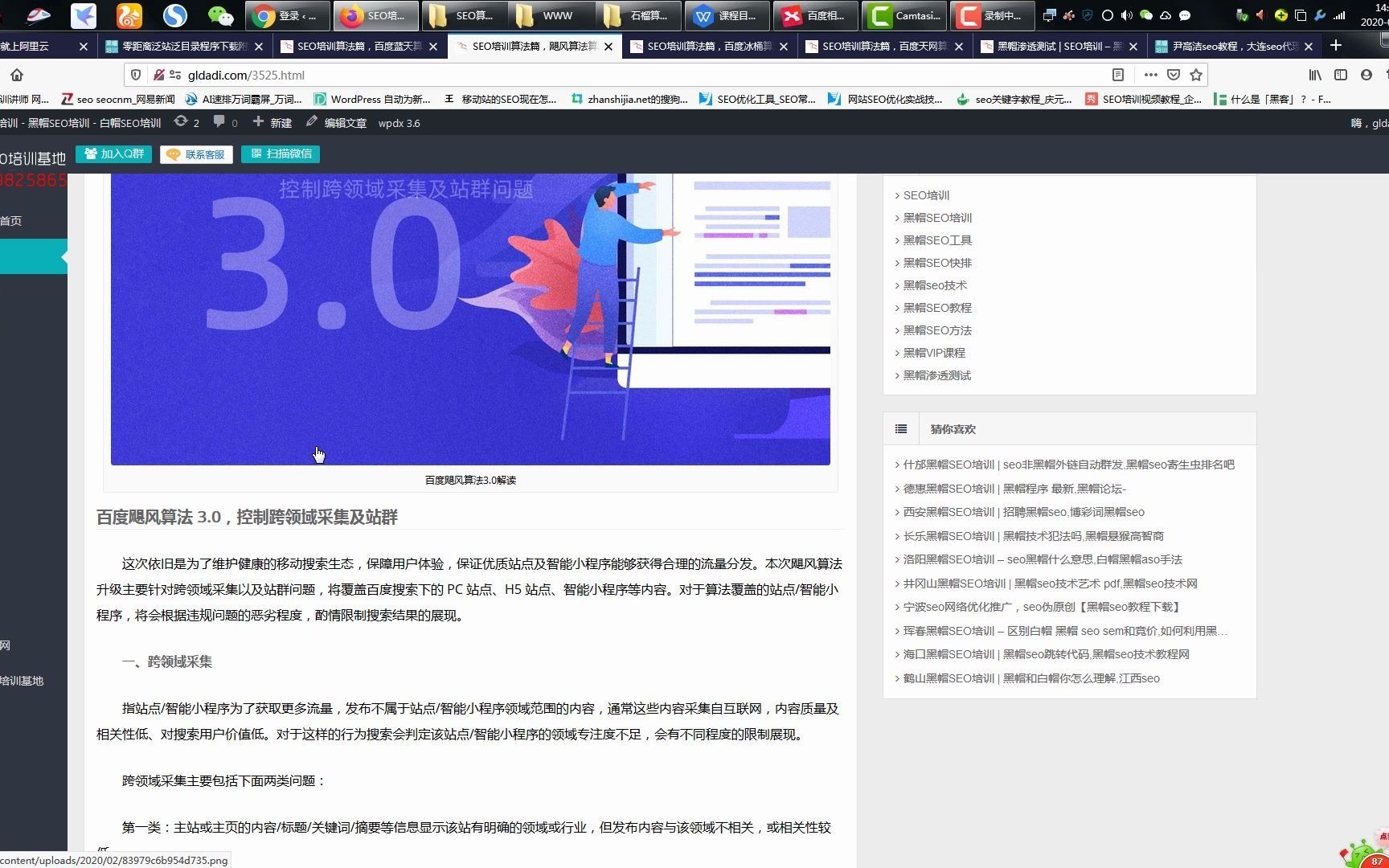 专研seo算法,飓风算法、清风算法、季风算法、星火计划起源算法、...