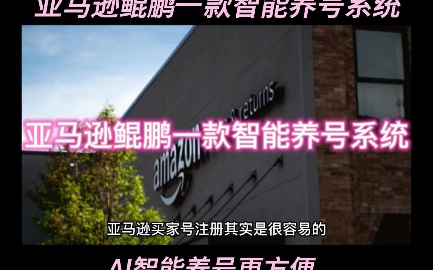 亚马逊鲲鹏一款智能养号系统