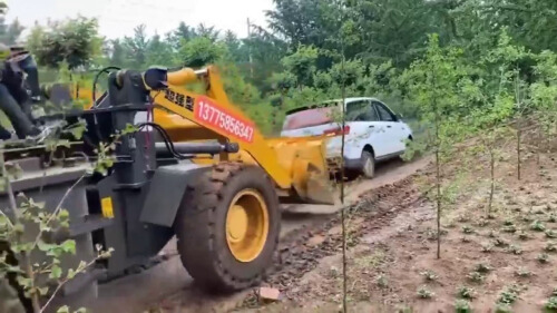 让你买五菱神车非不听,这下又得赔人家树苗钱了!