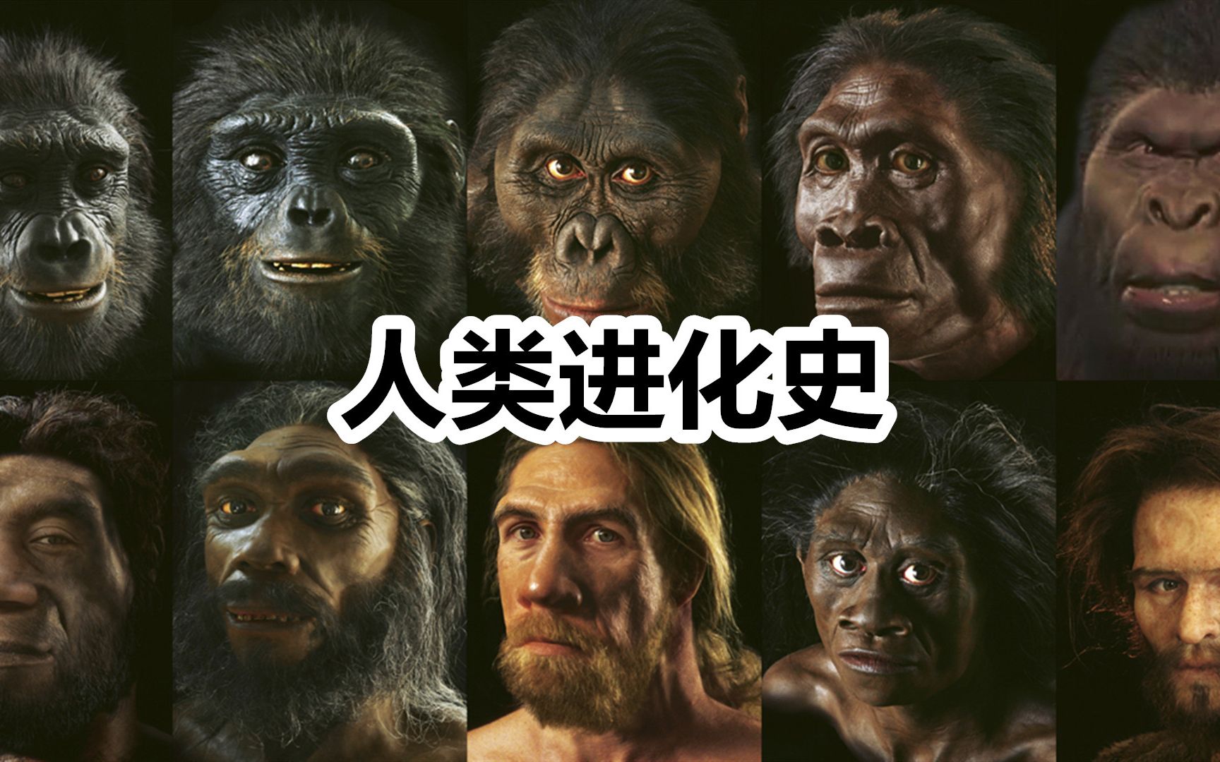 从非洲古猿到现代智人,带你看懂【人类进化史】