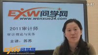 审计师考试-审计理论与实务精讲课程-问学网