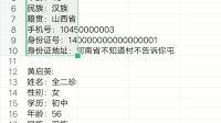 真正快速录单新思路1:模板的处理(改为a2和a13填充)