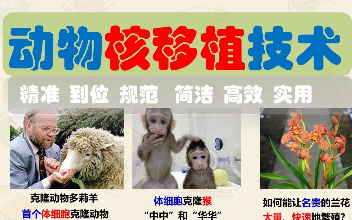 动物细胞核移植技术 高中生物 选择性必修三 一轮复习