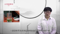 松针泡茶到底有何妙用?