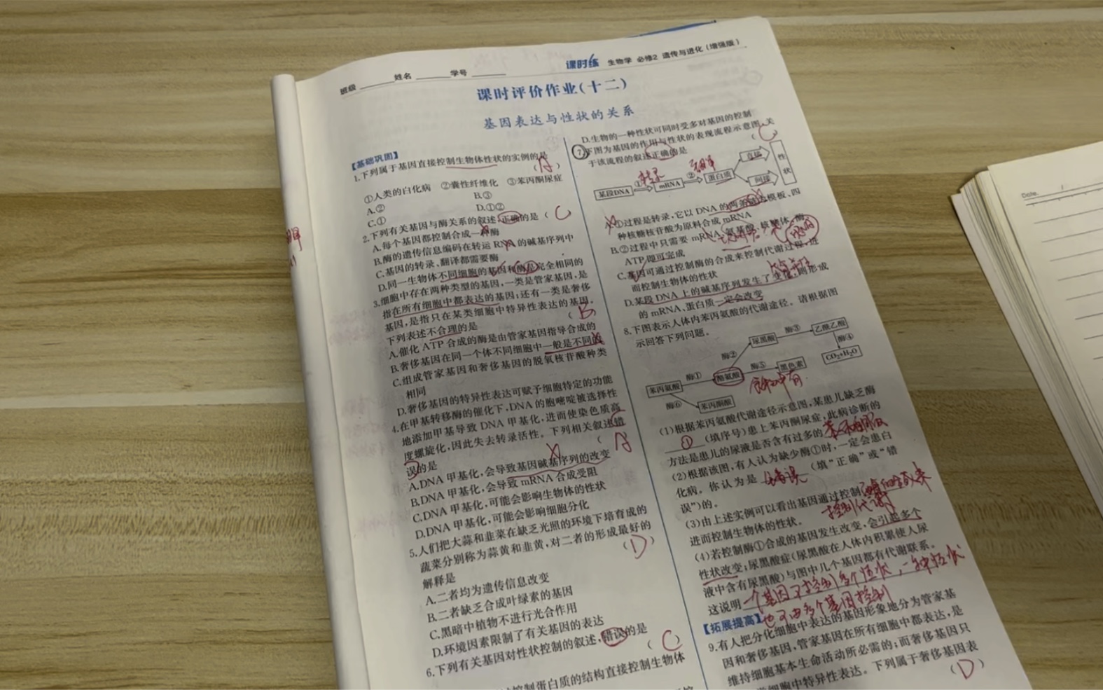 课时评价作业(十二)