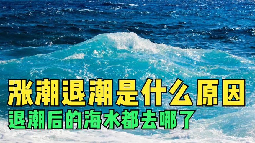 为什么大海会涨潮?究竟是什么原因?退潮后海水都去哪了