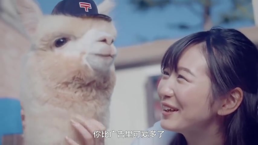 这样的羊驼请给我一打♥(๑• . •๑)