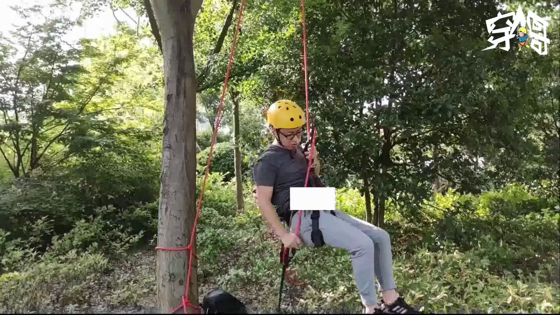 如何攀树?攀树套装详细安装视频.