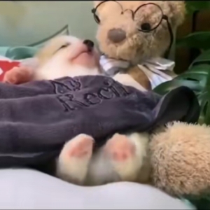 爱唱歌的小贱健 