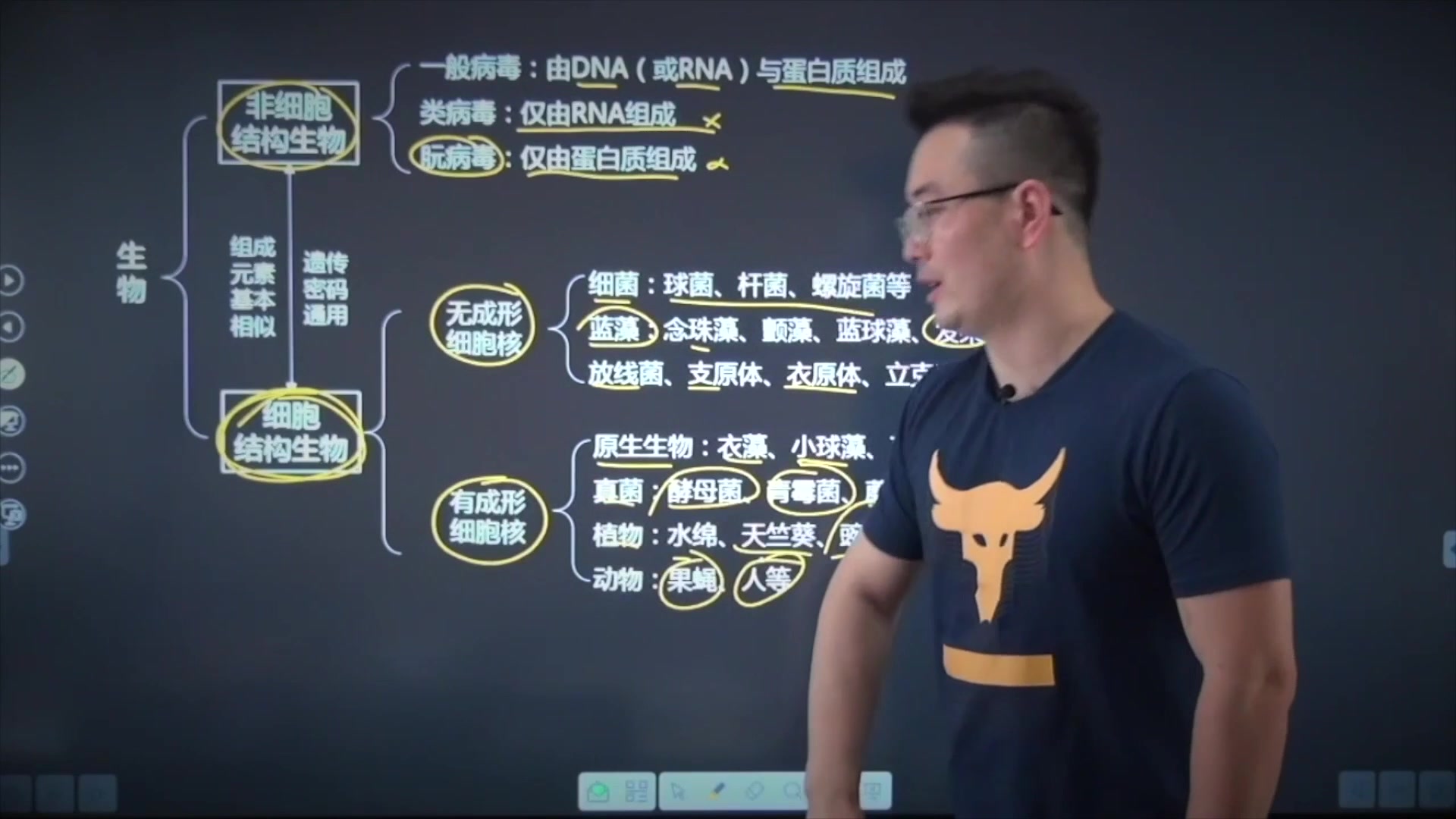 生物的基本分类方法