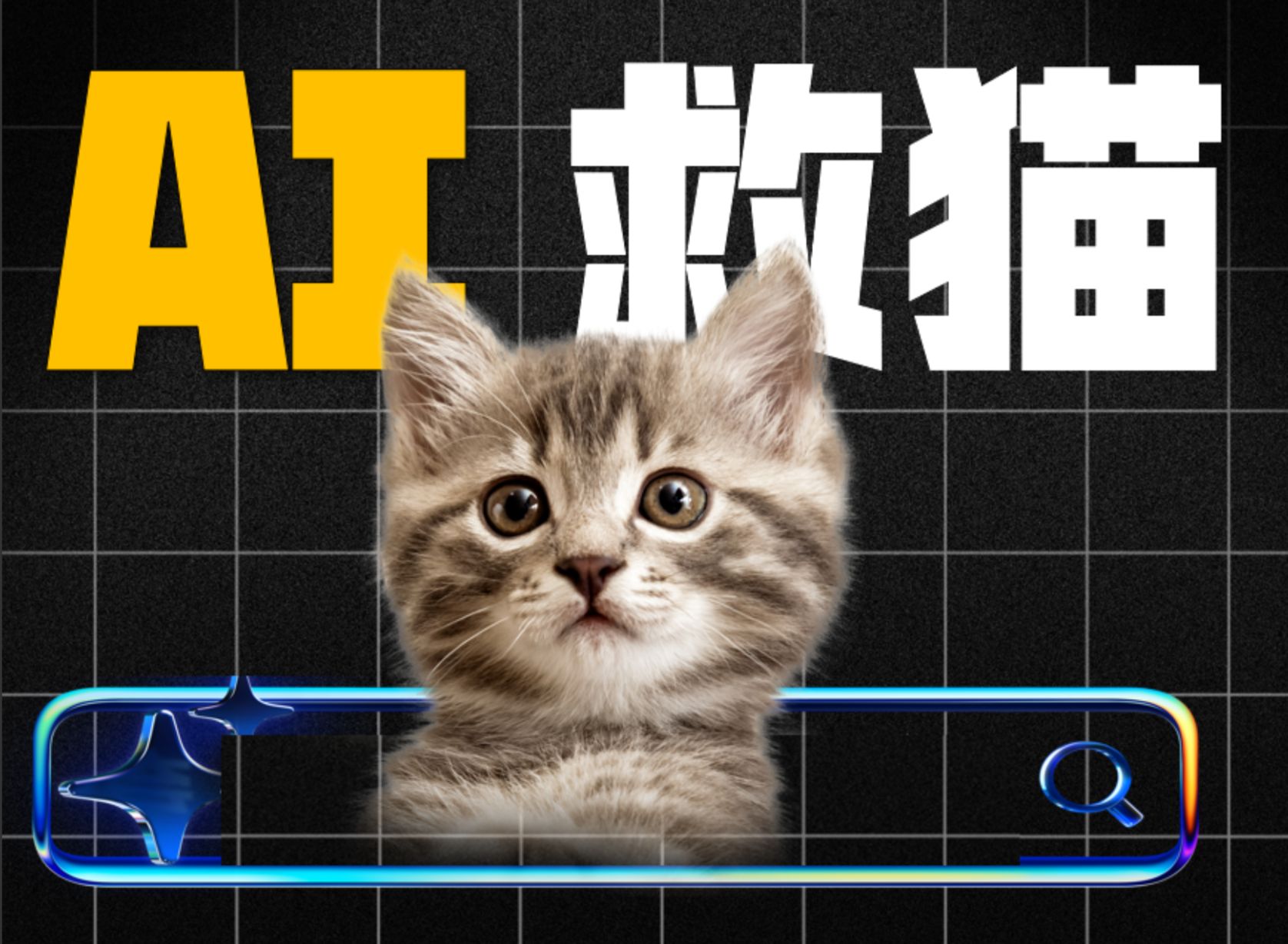 我用AI搜索救助了一只流浪小猫【不一样的AI测评】
