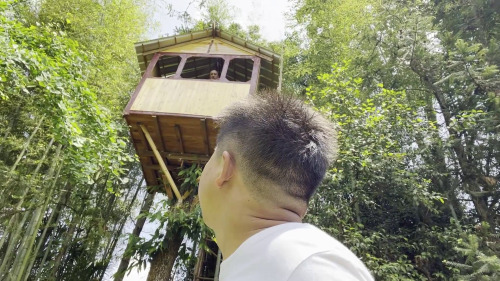 老乡实在太有才了 8天时间在一颗树上建起一栋别墅 真是个设计天才