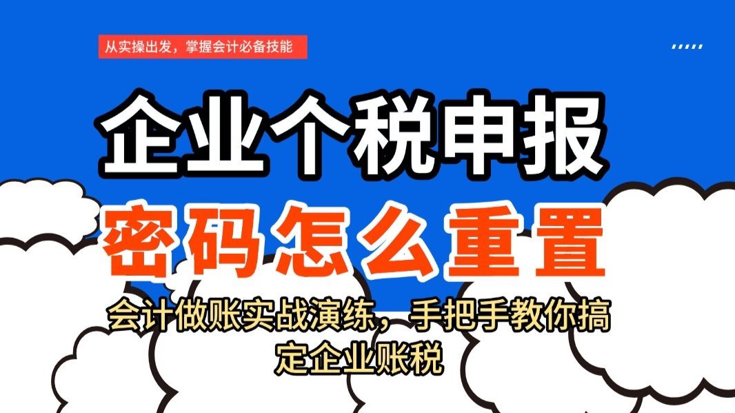 企业个税申报密码怎么重置/会计实操做账教程/会计实操做账教程大全...