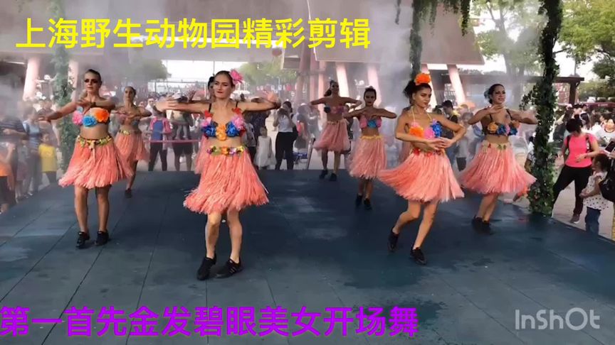 上海野生动物园精彩表演剪辑,人与自然和谐相处!