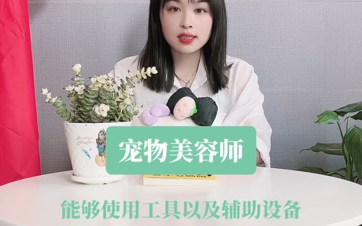 什么是宠物美容师?宠物美容师证书怎么报考?宠物美容师证培训!宠物...