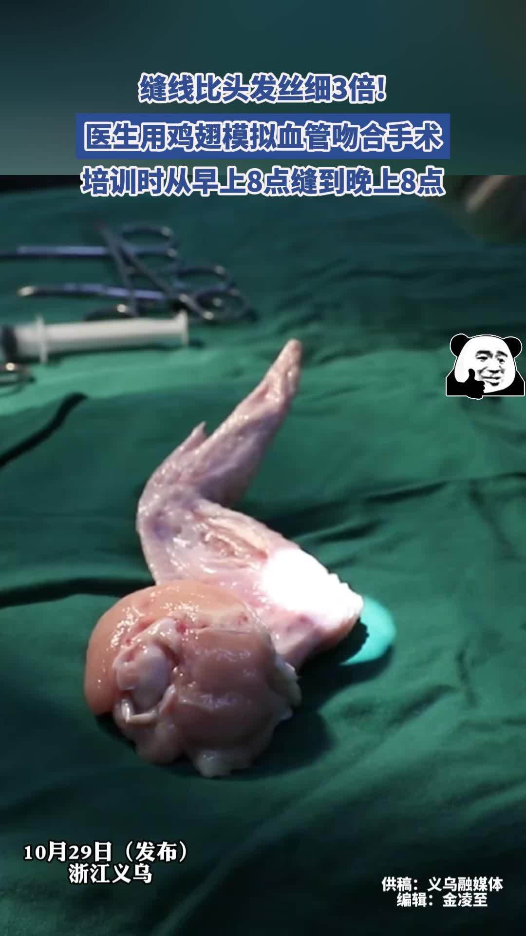 比头发丝细3倍!医生用鸡翅模拟血管吻合手术,从早8缝到晚8