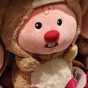 白云Rui 