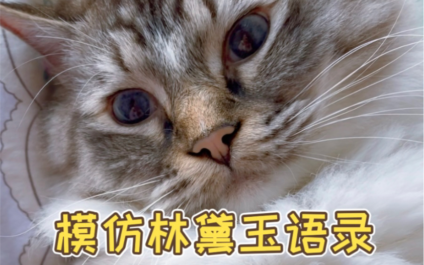 当我模仿林黛玉和猫说话…