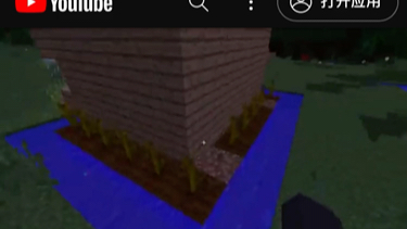 我的世界:Dream在YouTube个人主页的第一个视频(生肉)_我的世界