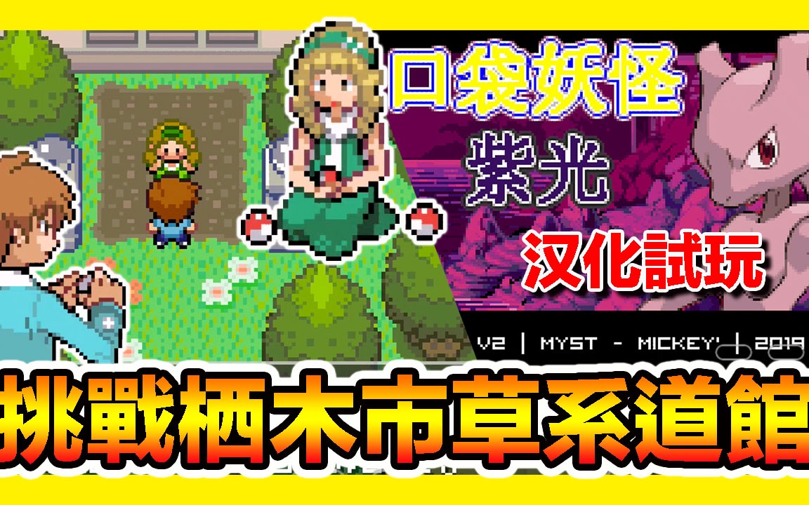 【GBA宝可梦 口袋妖怪紫光】『汉化试玩』挑战第一道馆～用臭臭花...