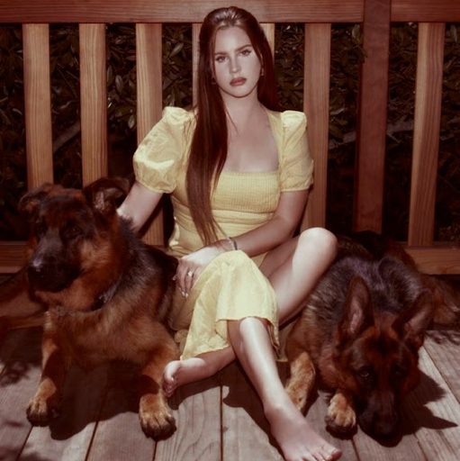 背英语牛津词典的娜拉 