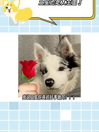 ...这种好事下次能不能叫上我啊!#折叠的风还是吹到了江湖 #三星AI折...