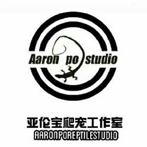 Aaronpo亚伦宝工作室 