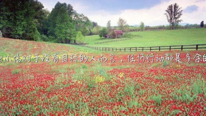 人生名言:对于没有目标的人而言,任何行动都是多余的