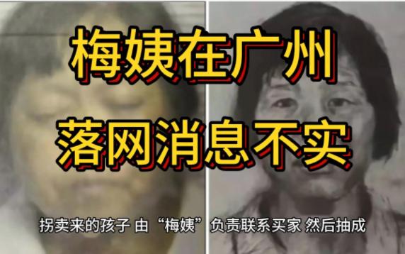 “梅姨”落网?广州警方:正在核实相关情况