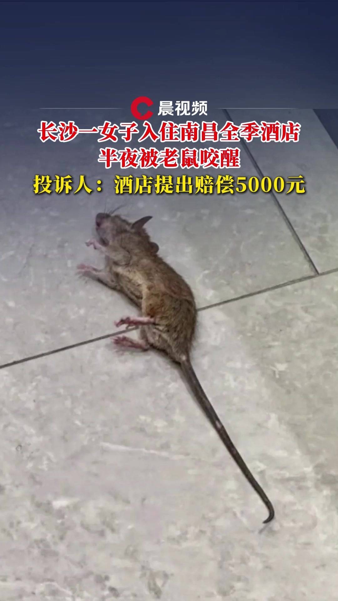 长沙一女子入住南昌全季酒店半夜被老鼠咬醒,投诉人:酒店提出赔偿...