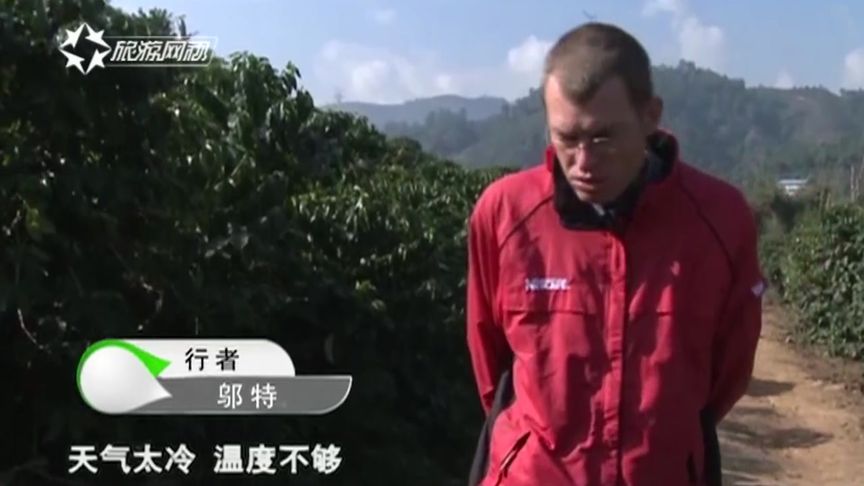 中国咖啡原产地——云南普洱,这里产出的咖啡豆,星巴克都在用!