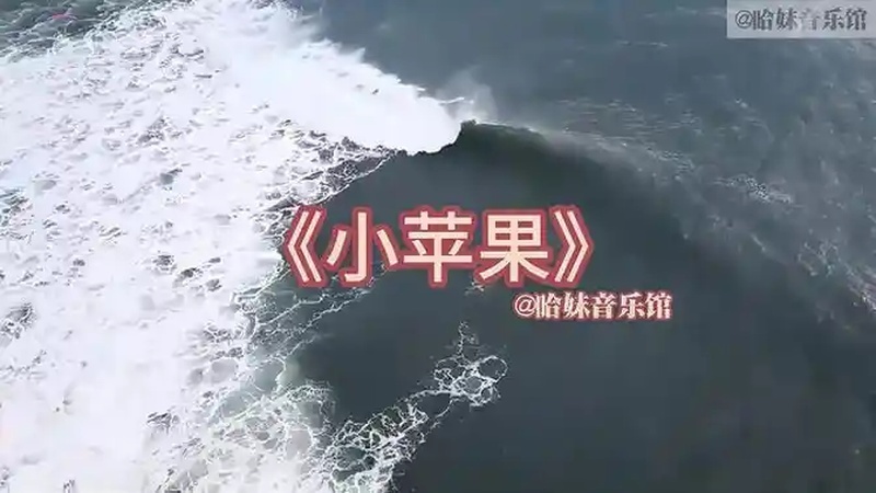 筷子兄弟演唱《小苹果》红遍大江南北,老少通吃精彩音乐