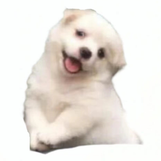 辣狗小哥 