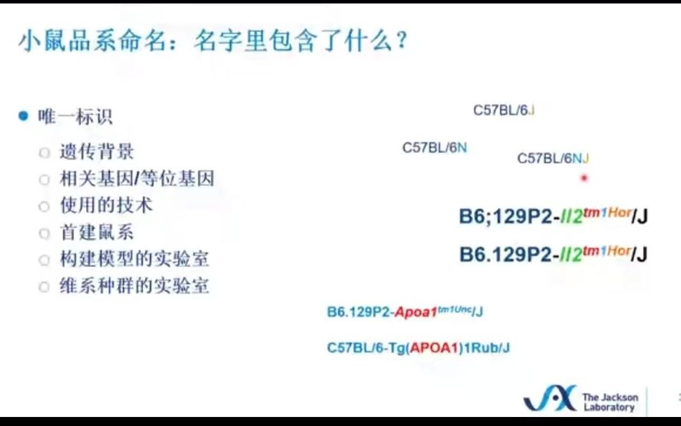 生物医学研究中小鼠模型选择的注意事项