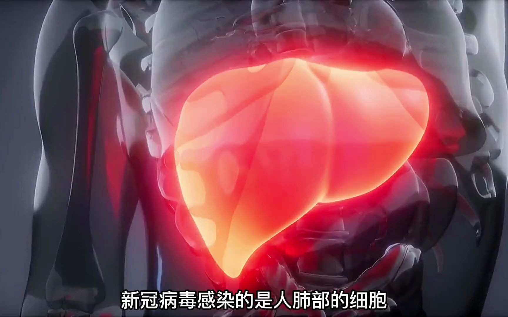 病毒和细菌有什么区别呢?