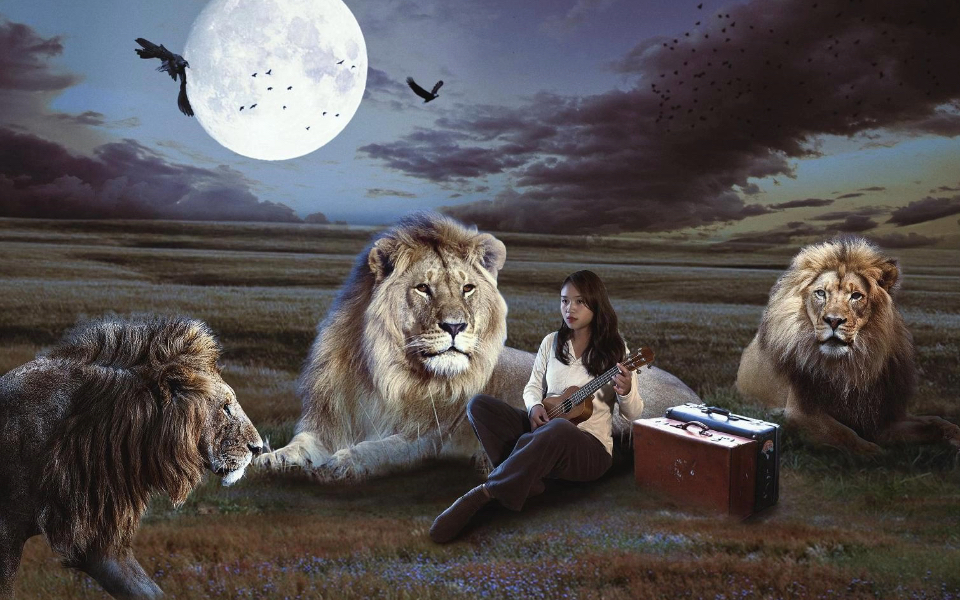 给狮子们办了场演唱会!用PS制作奇幻动物大片,超可爱