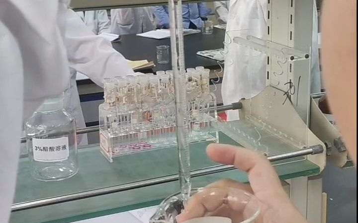 理化实验:食品中维生素C含量的测定