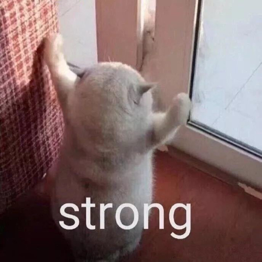 寒潭飘雪啊 