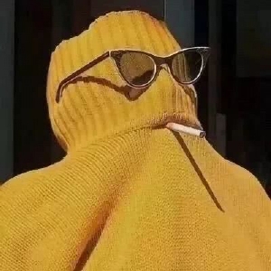 忧郁的天鹰哥 