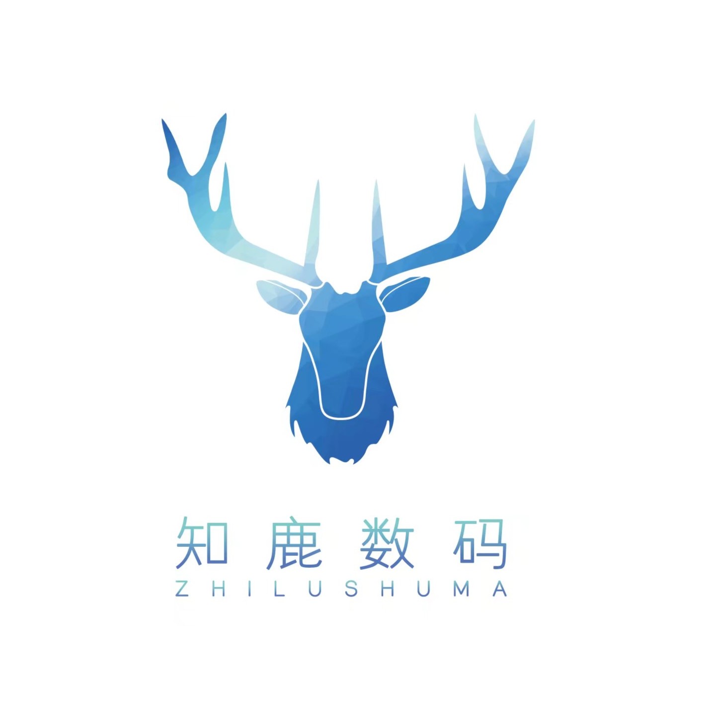 知鹿数码 