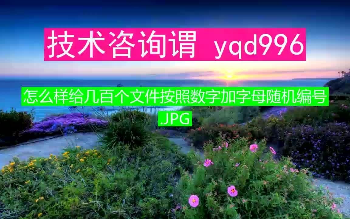 怎么样给几百个文件按照数字加字母随机编号.JPG