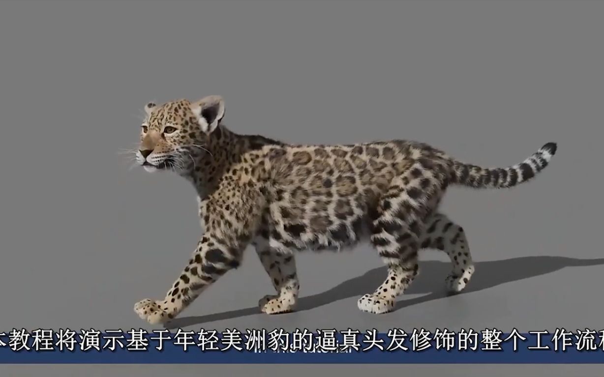 blender动物毛发制作流程