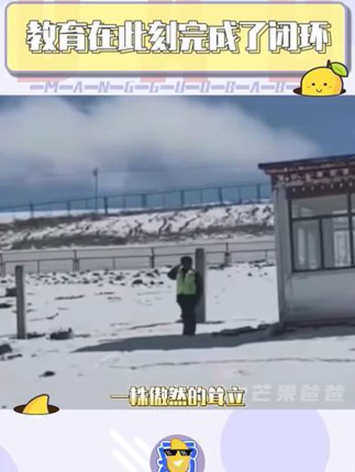 初中读不懂的白杨礼赞,却在这一刻完成了最美的闭环#白杨礼赞#护路...