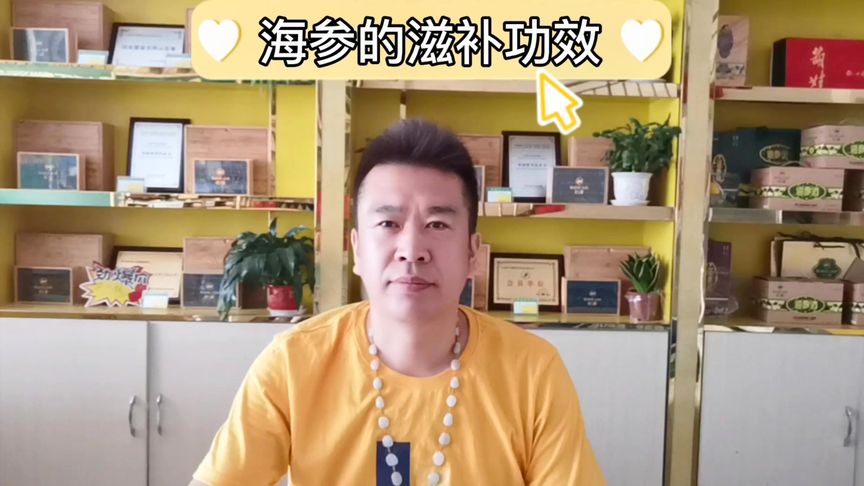 董哥和您聊聊,海参都有哪些功效?