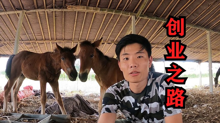 大学生的创业历程,快撑不下去了,养殖这条路到底行不行?