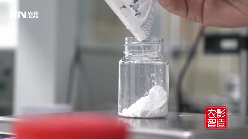 比沙子还硬的珍珠如何能研磨成粉?是一根头发的60分之1