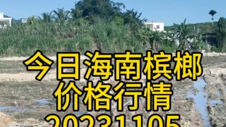 今日海南槟榔价格行情