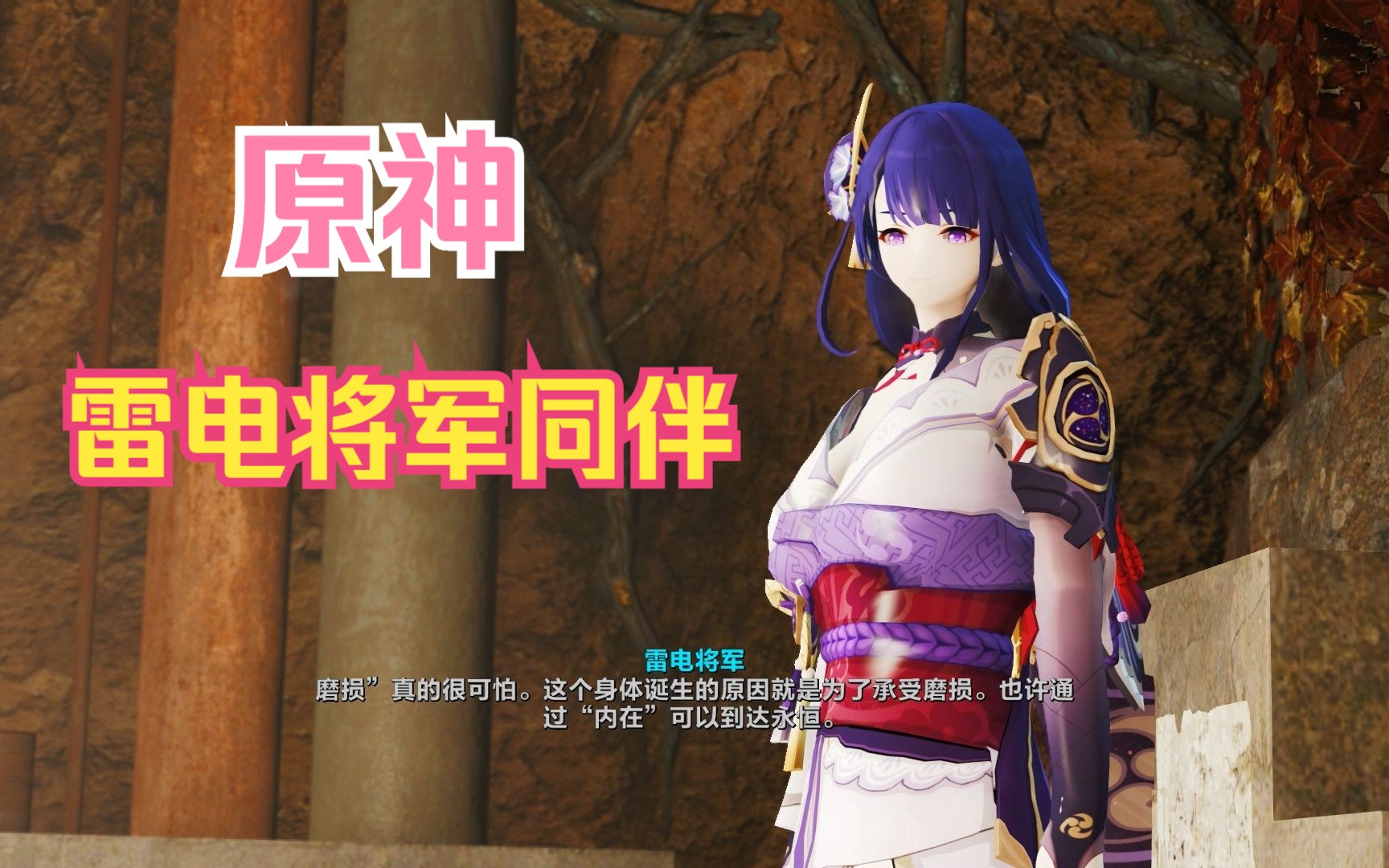 [辐射4mod汉化]原神雷电将军同伴_哔哩哔哩bilibili_辐射4