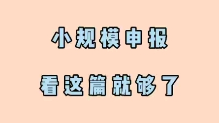 小规模申报流程,零基础也能轻松学会