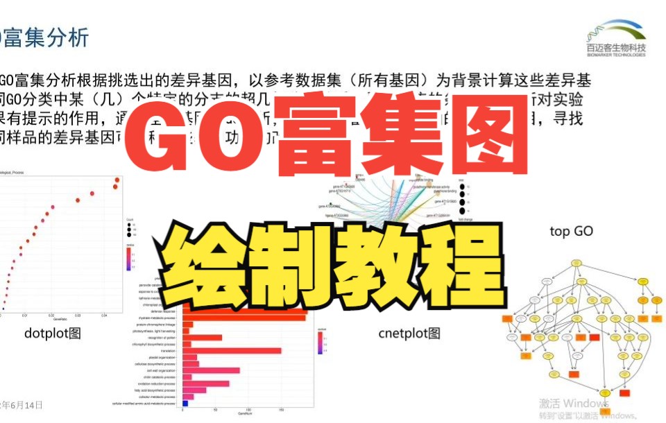 GO富集图详解及绘制教程【百迈客生物】